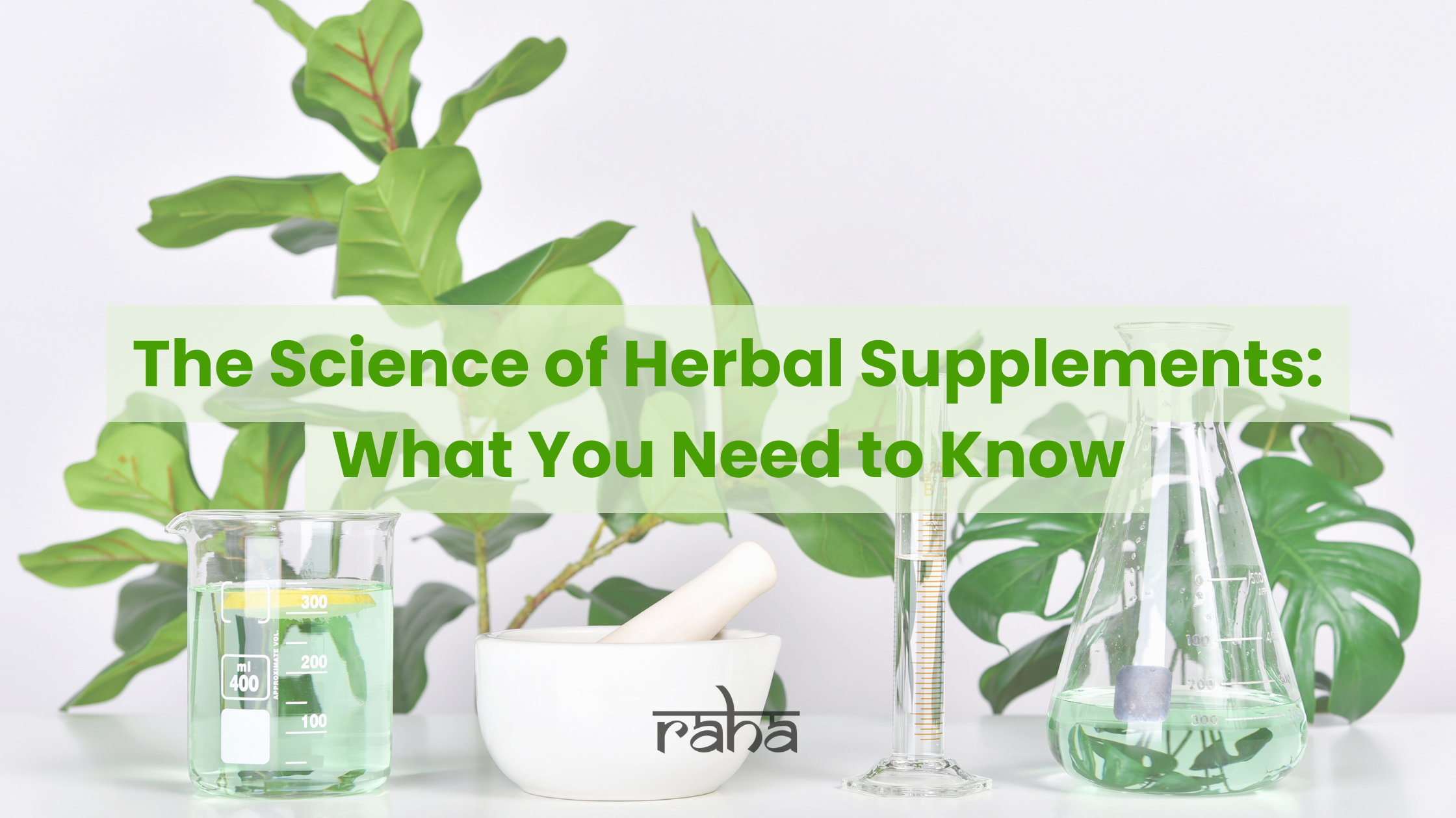 The Science of Herbal Supplements: What You Need to Know – Raha